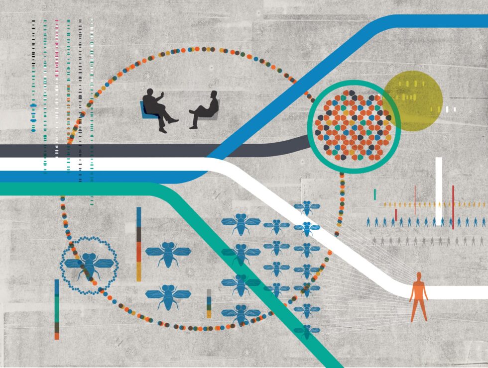 Building a Legacy of Oncology Excellence l Exelixis